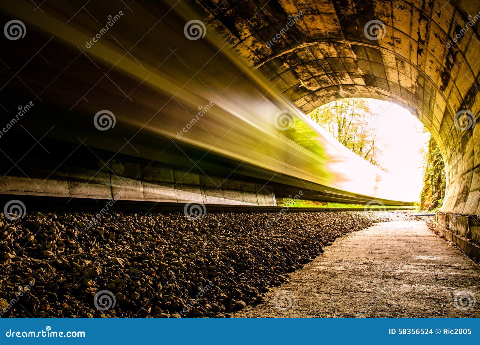 Train in the tunnel stock photo. Image of trees, speed - 58356524