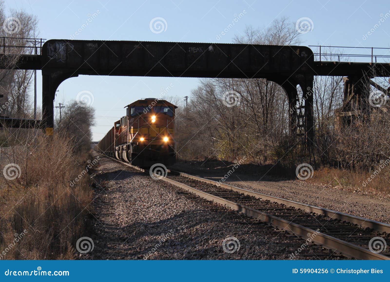 Train Under a Bridge stock photo. Image of yellow, stone - 59904256