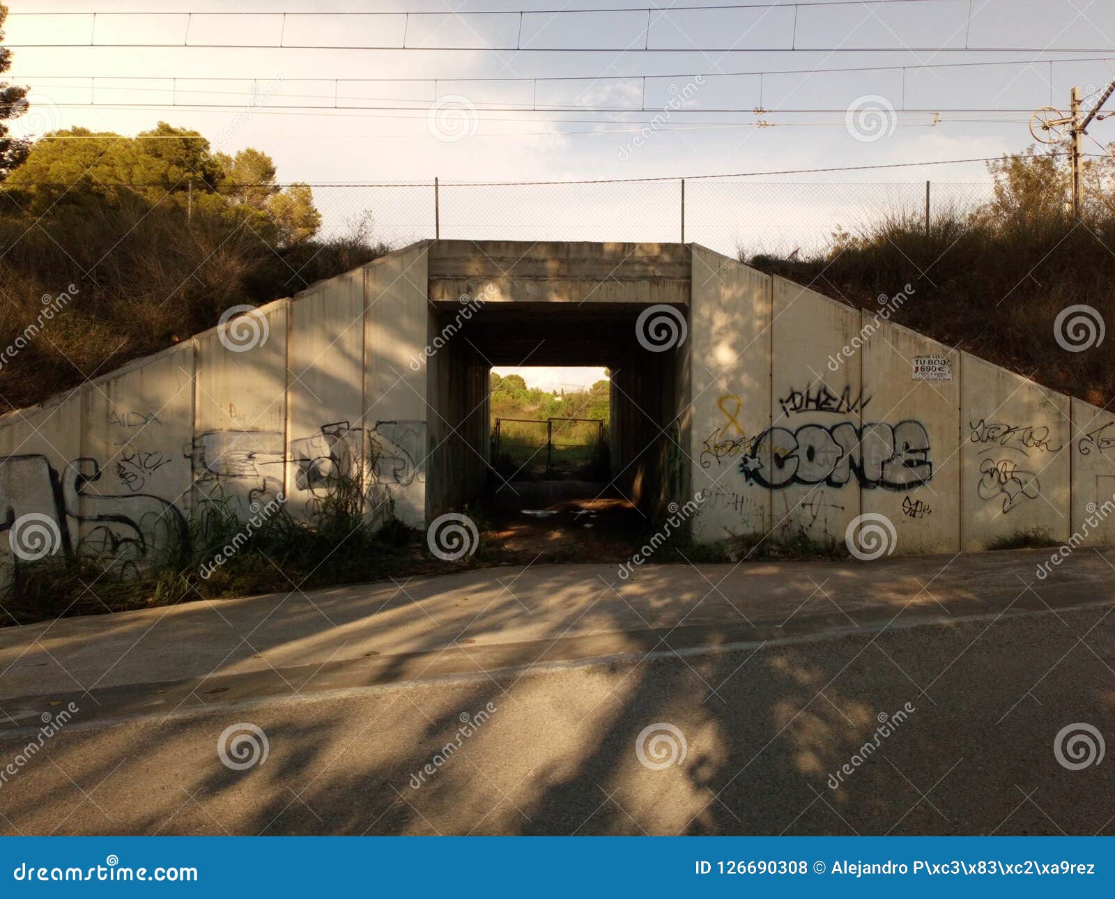 Train under pass editorial stock photo. Image of train - 126690308