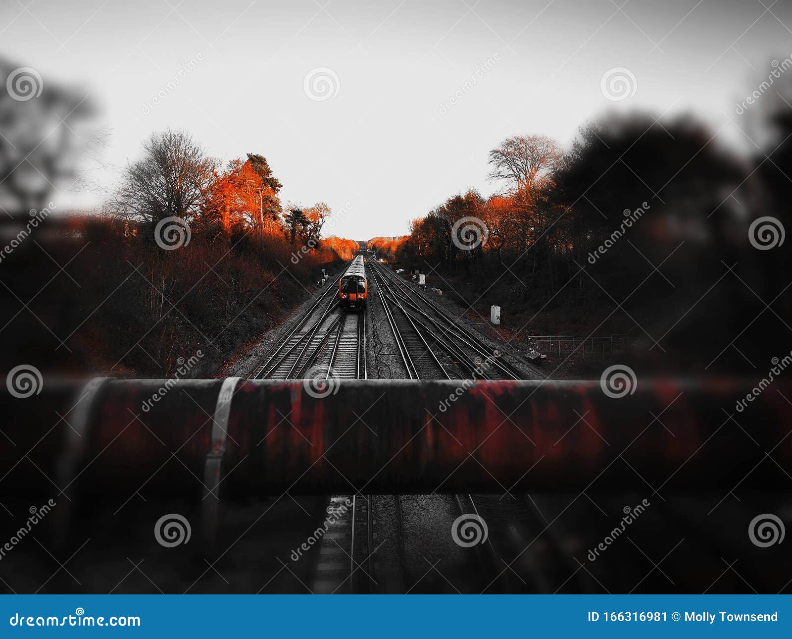 Train view stock image. Image of train, tracks, view - 166316981
