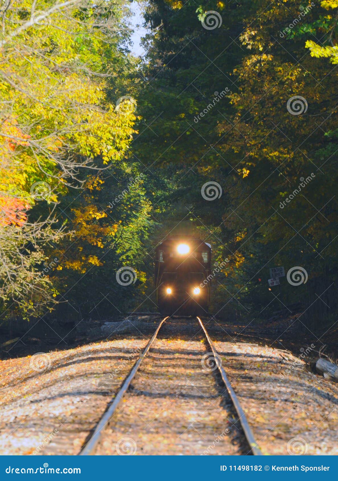 Train in woods stock photo. Image of railroad, autumn - 11498182