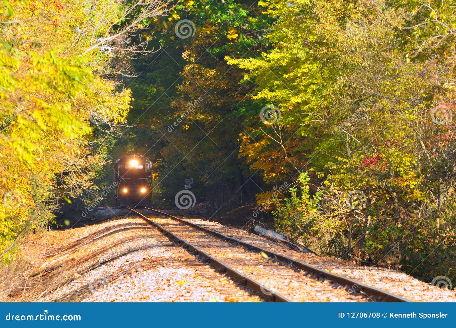 Train in woods stock photo. Image of rail, track, flare - 12706708