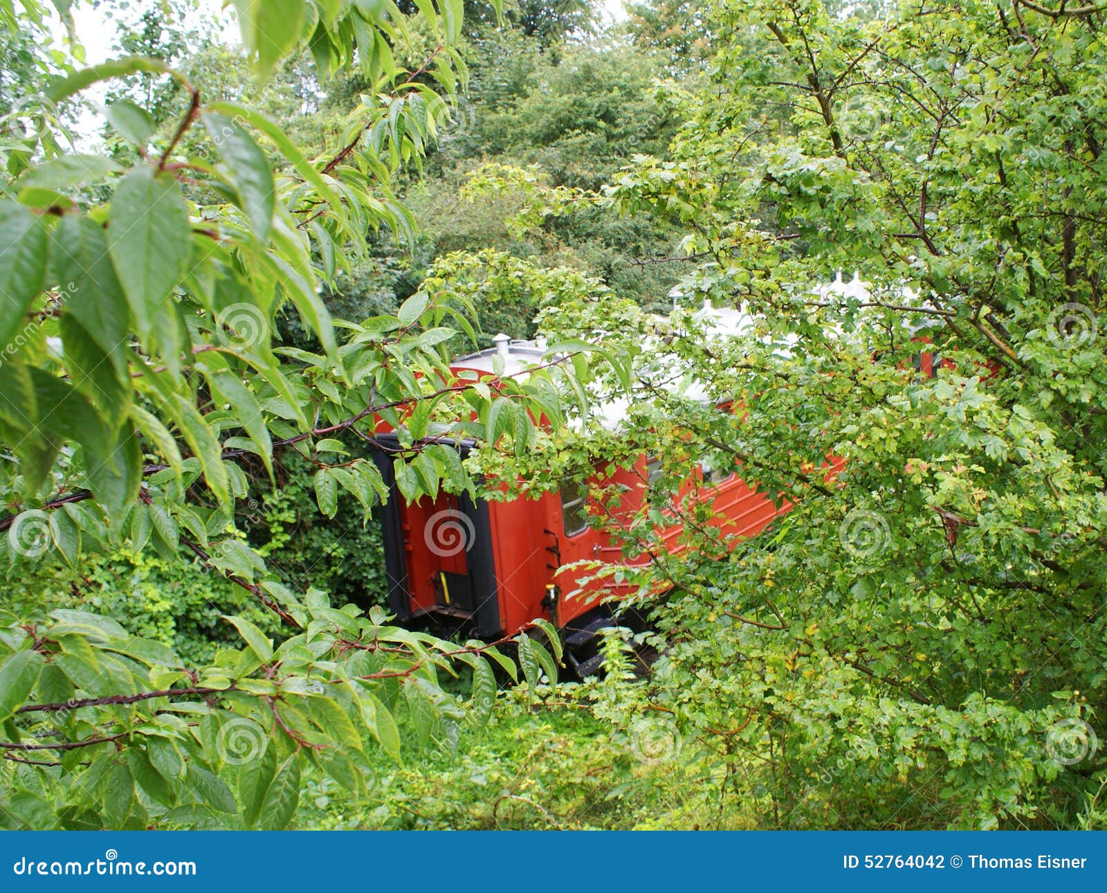 Train in the woods stock photo. Image of wagon, parked - 52764042