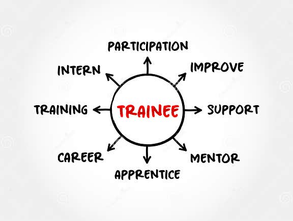 Trainee - Individual Taking Part in a Trainee Program within an ...