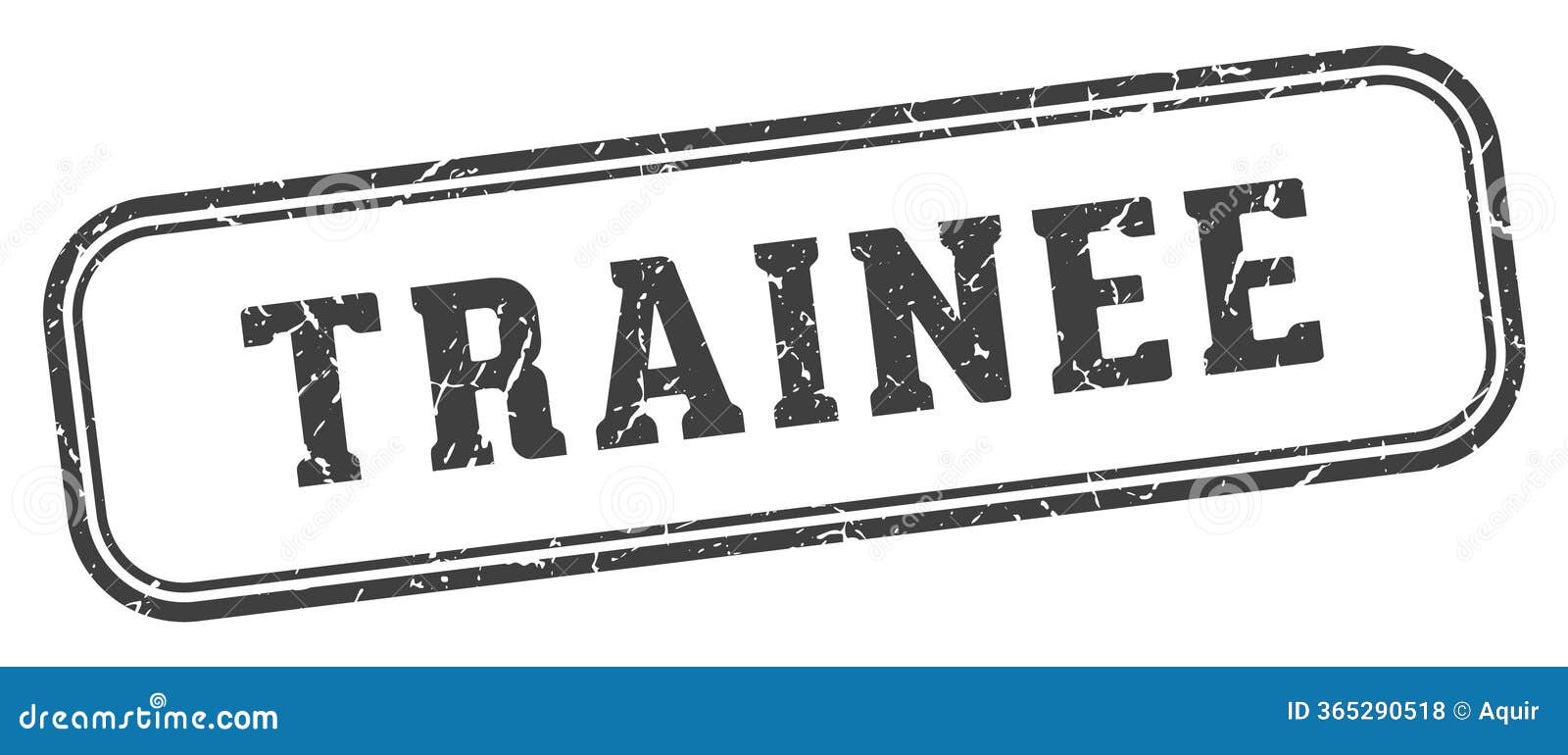 Trainee Stamp. Trainee Label. Round Grunge Sign Cartoon Vector ...
