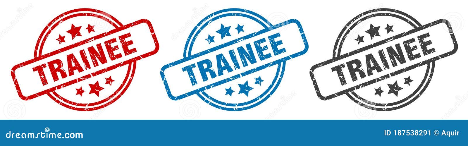 Trainee Stamp. Trainee Round Isolated Sign Stock Vector - Illustration ...