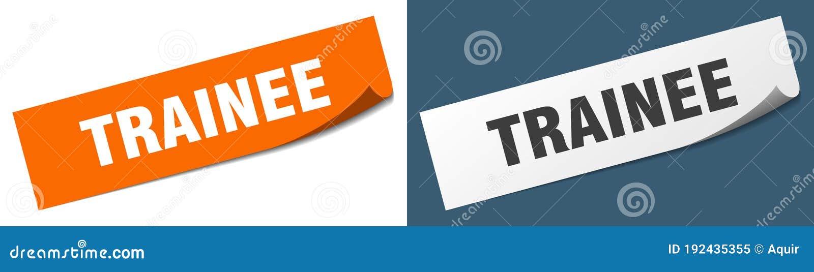 Trainee Sticker. Trainee Sign Set Stock Vector - Illustration of ...