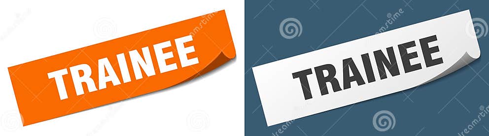 Trainee Sticker. Trainee Sign Set Stock Vector - Illustration of ...