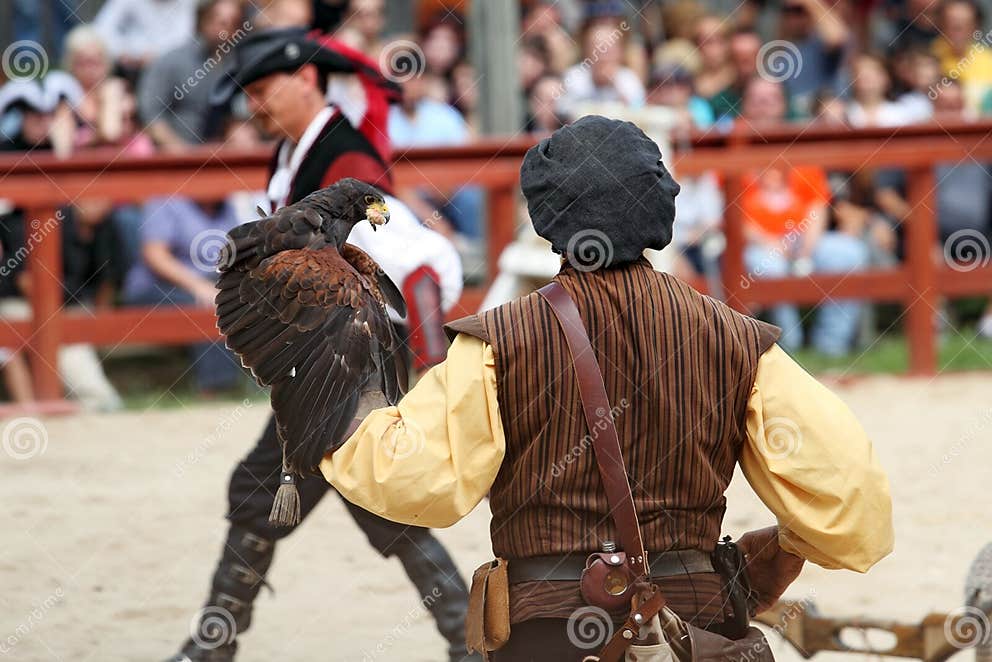 Trainer Demonstrates Hawks Abilitiesenai Editorial Image - Image of ...