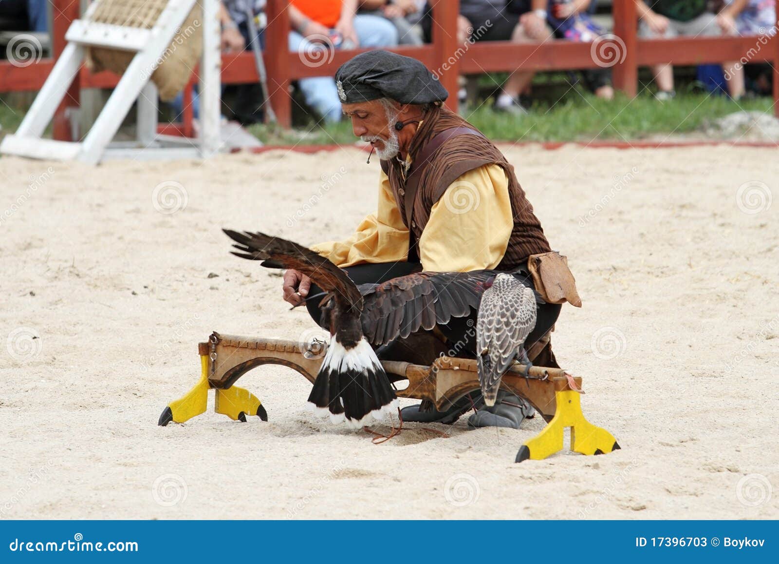 Trainer Demonstrates Hawks Abilitiesenai Editorial Stock Photo - Image ...