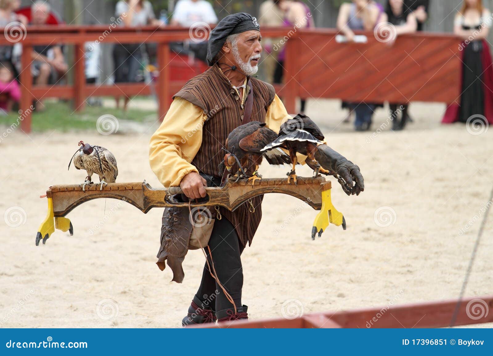 Trainer Demonstrates Hawks Abilitiesenai Editorial Photo - Image of ...