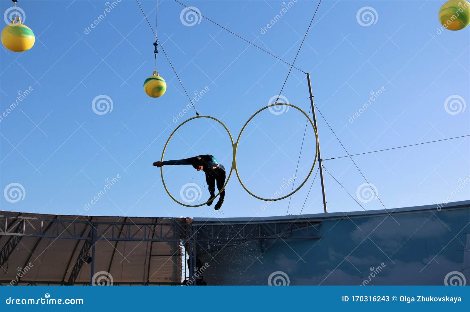 The Trainer of the Dolphins Jumping through a Ring. Editorial Stock ...