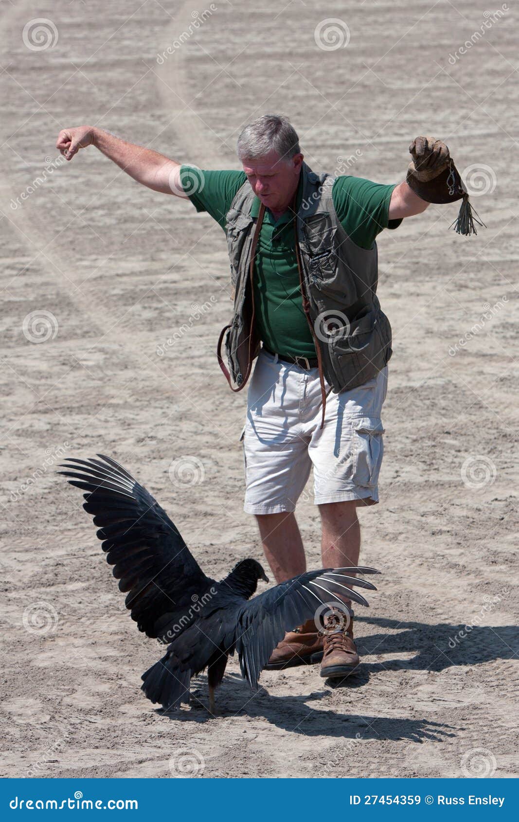 Trainer Performs Bird Show with Vulture Editorial Stock Image - Image ...