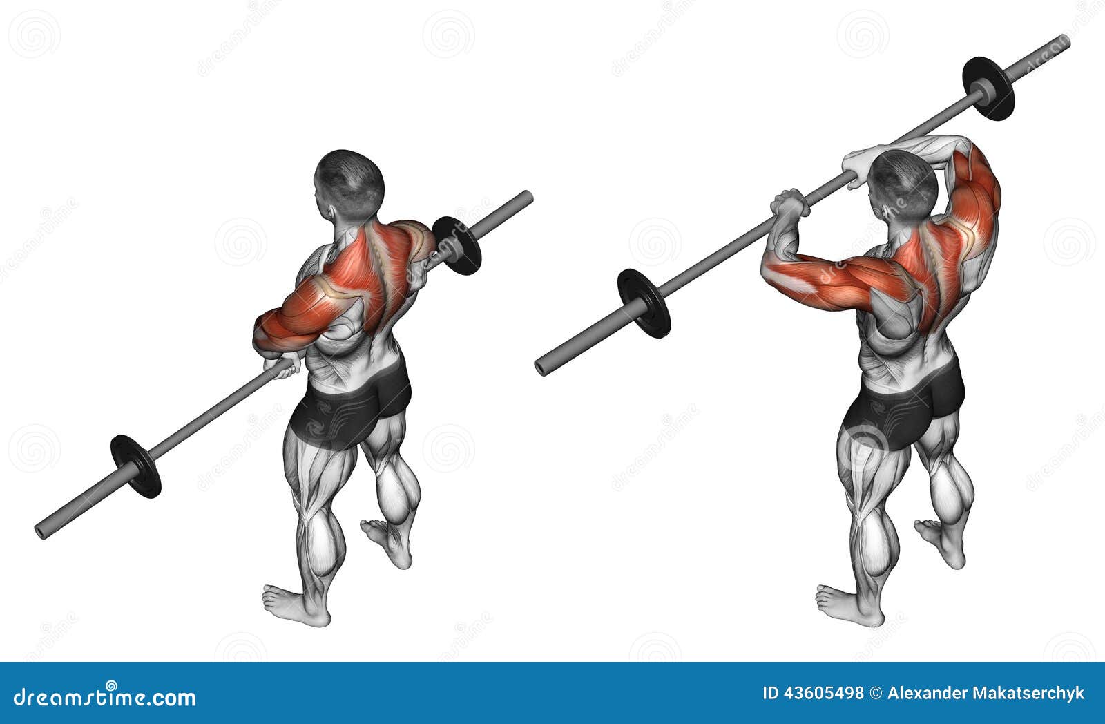 Trainieren Vertikale Stangen Mit Der Stange Stock Abbildung ...