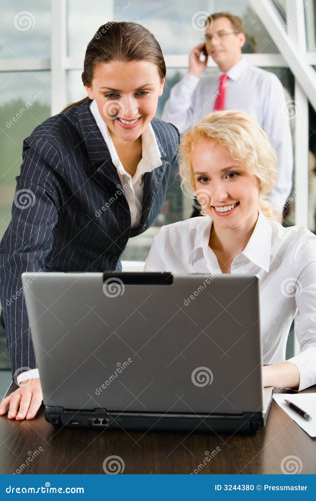 Training stock photo. Image of caucasian, attractive, leader - 3244380