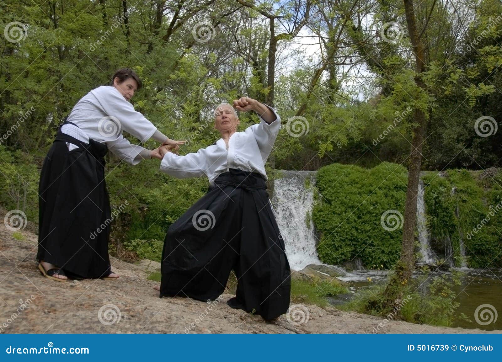 Training of Aikido stock image. Image of catching, warrior - 5016739