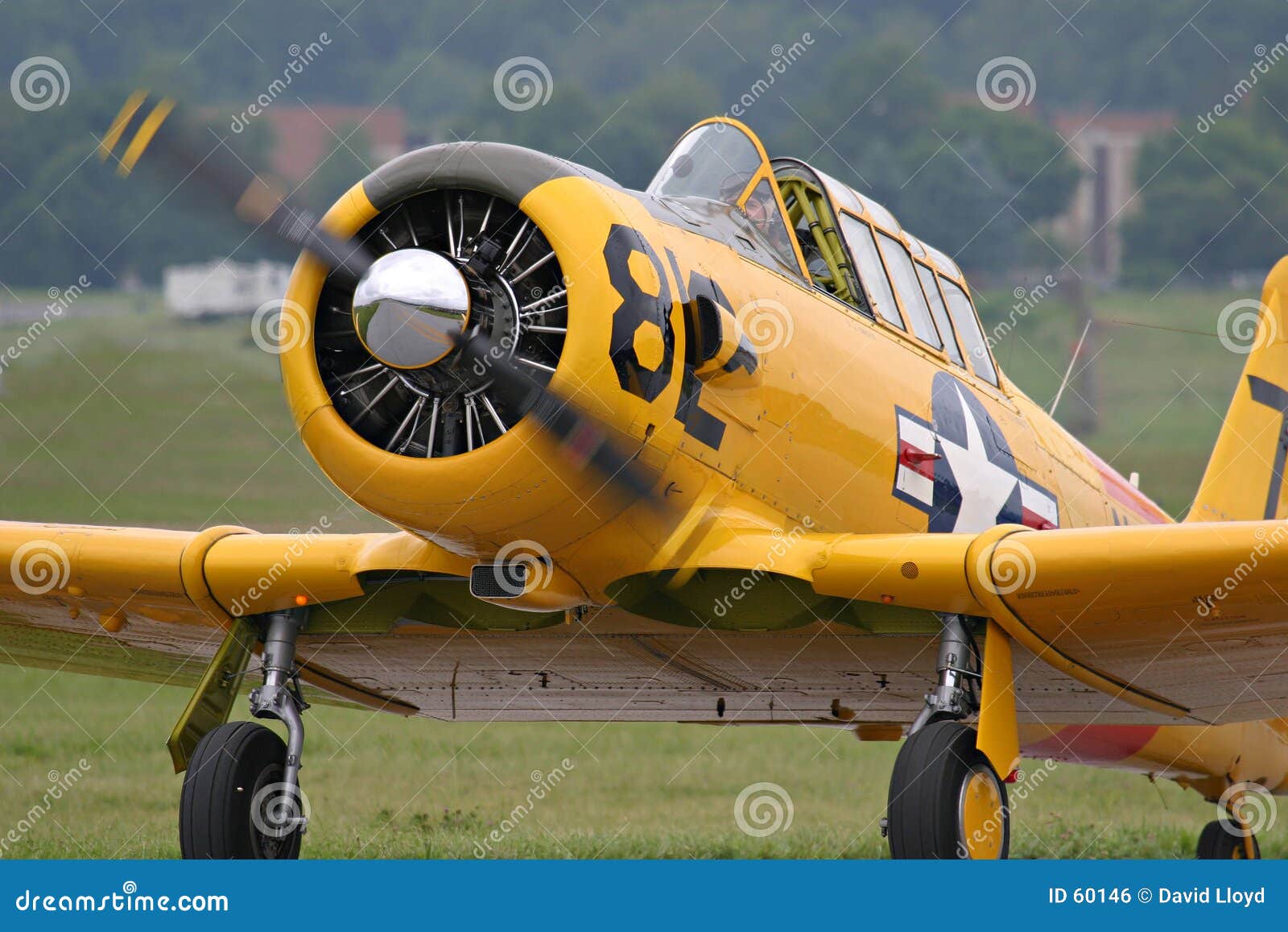 Training aircraft stock photo. Image of warplane, historical - 60146