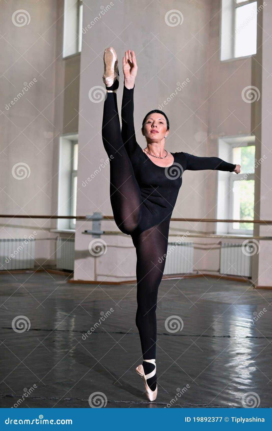 Training ballerina stock image. Image of swan, movement - 19892377