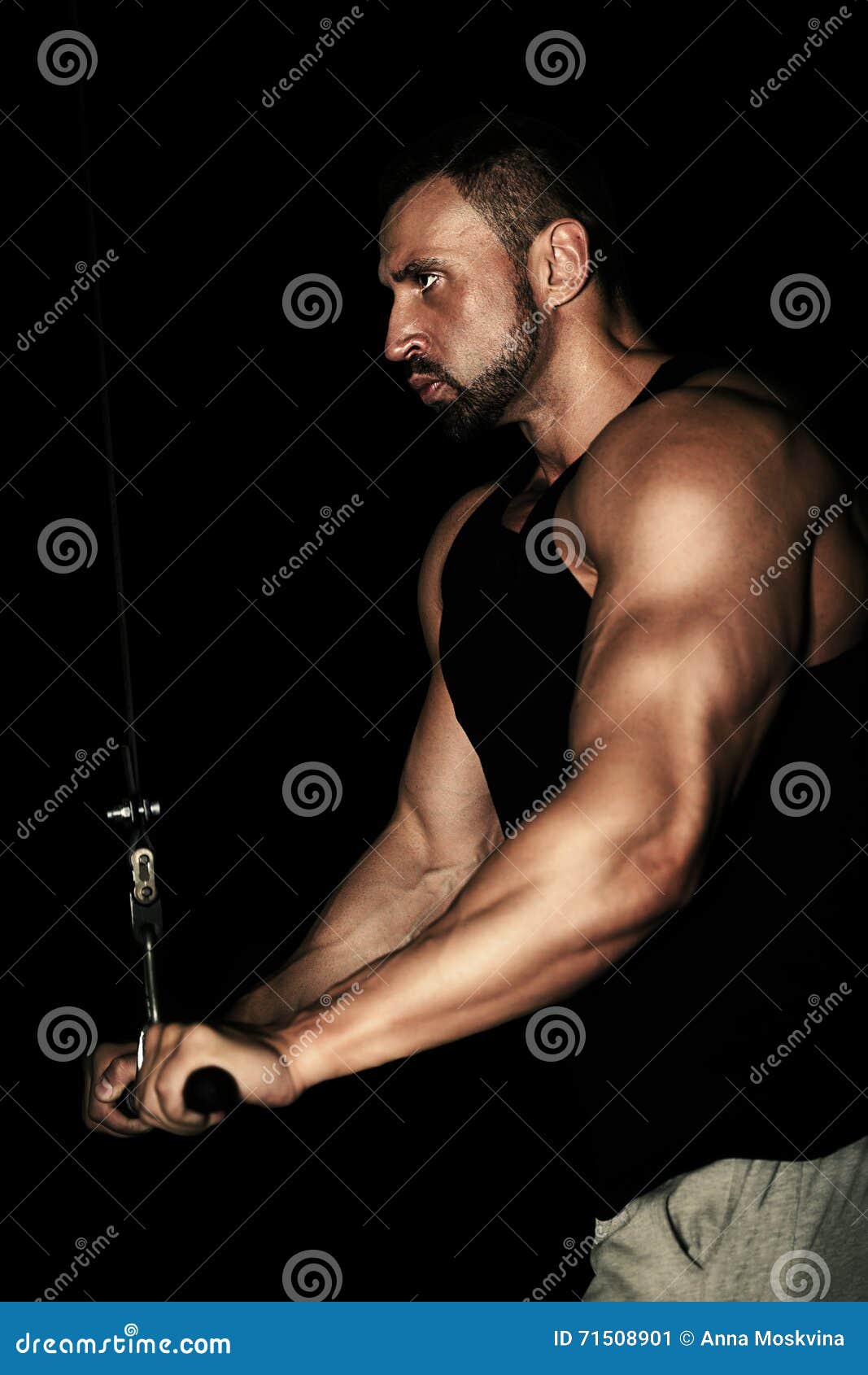 Training Bodybuilder Strong Man Arm Workout Stock Image - Image of ...