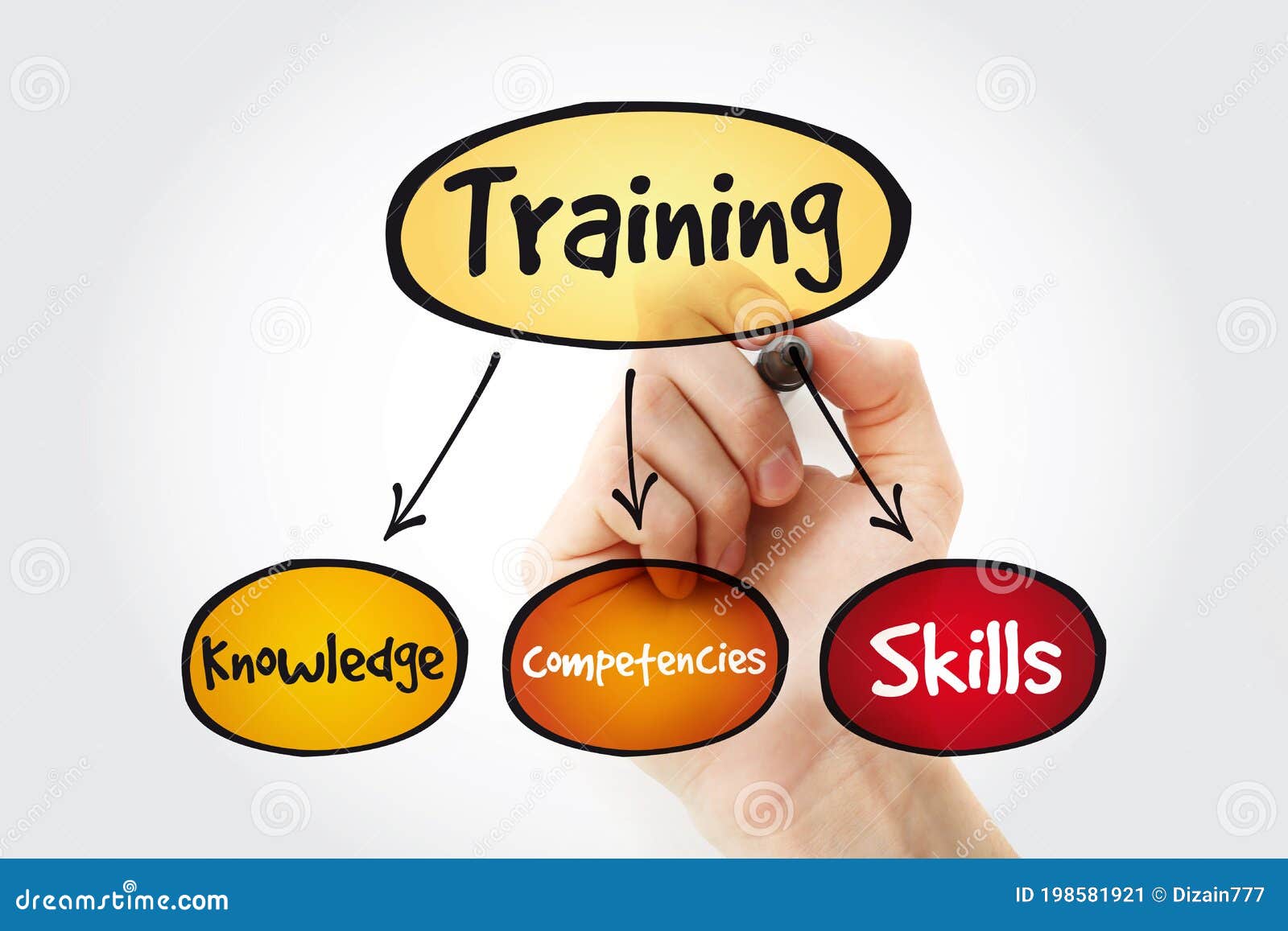 Training Components Mind Map with Marker, Business Concept Stock Image ...