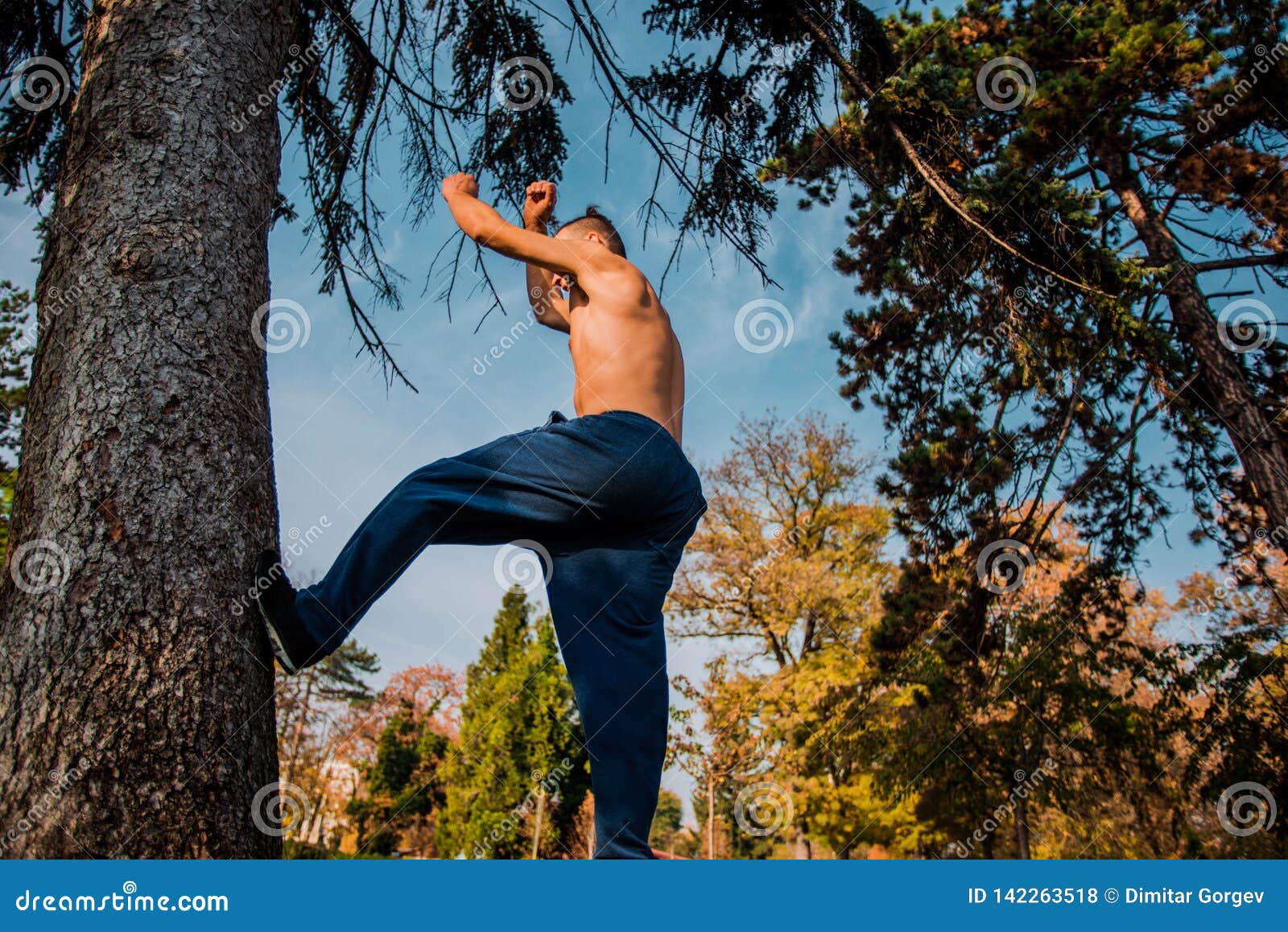Courage Guy Exercising Parkour on a Tree Stock Photo - Image of happy ...
