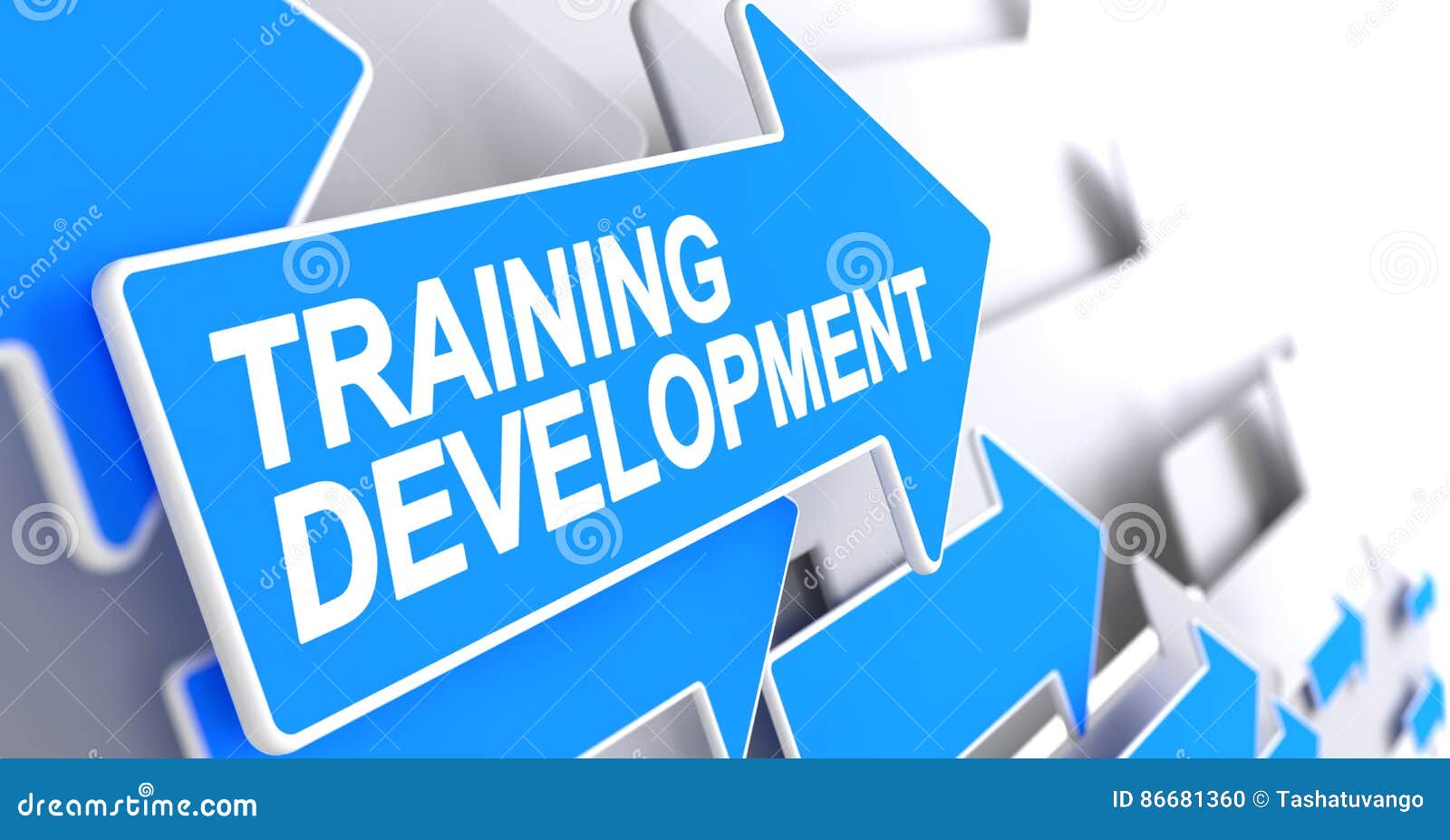 Training Development - Inscription on the Blue Pointer. 3D. Stock ...