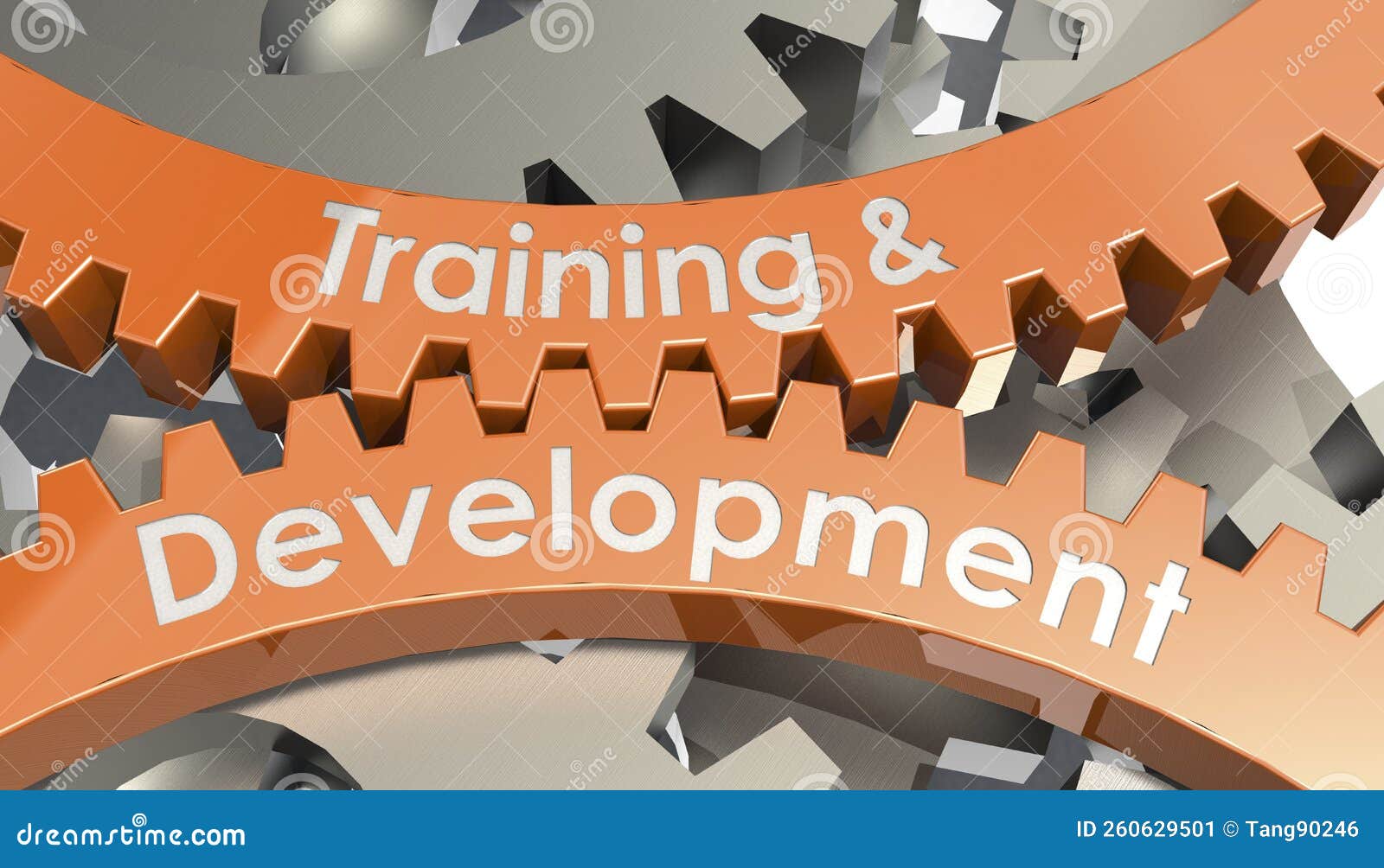 Training and Development Word on Gears Stock Illustration ...