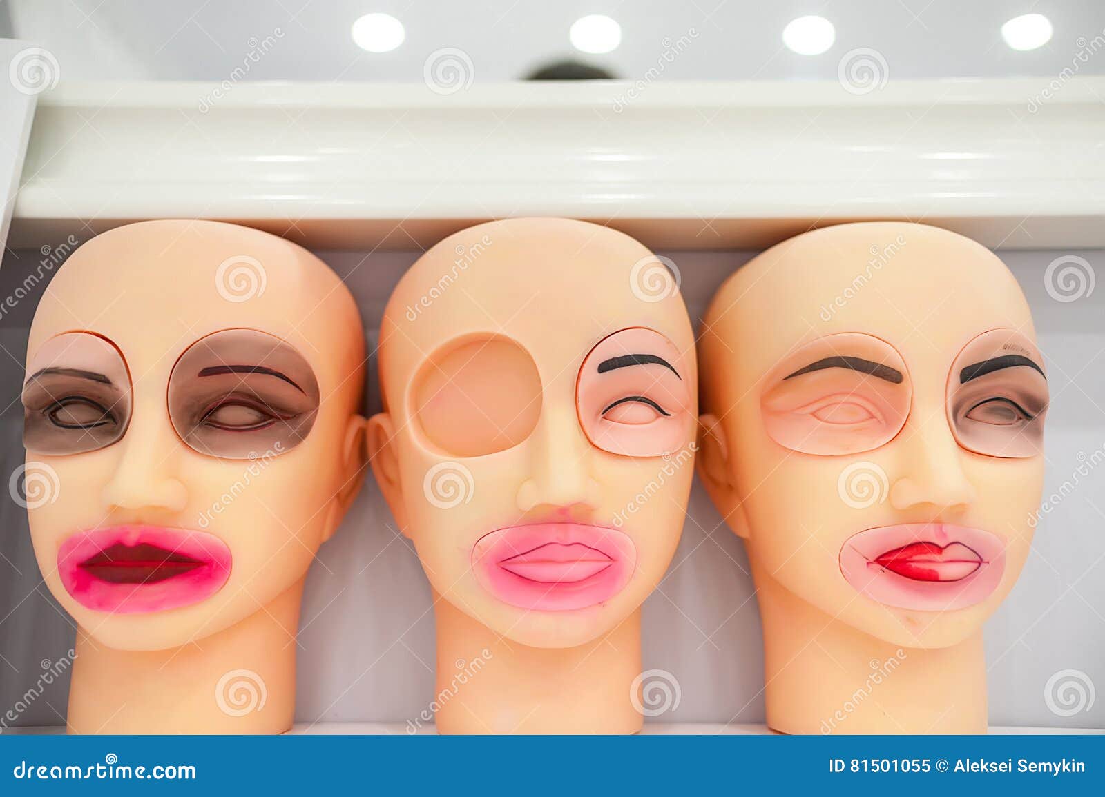 Training Dummies Permanent Make-up, Study and Skill Stock Image - Image ...