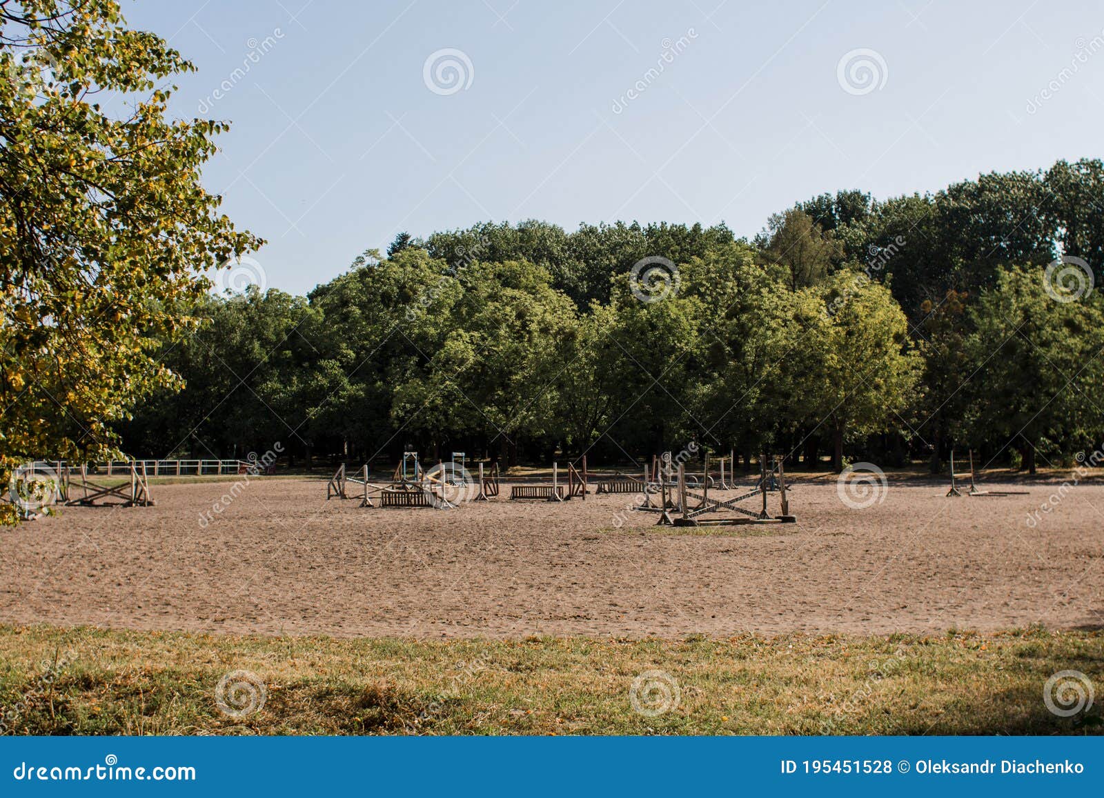 Training Field in the Stable in the Forest Stock Photo - Image of foal ...