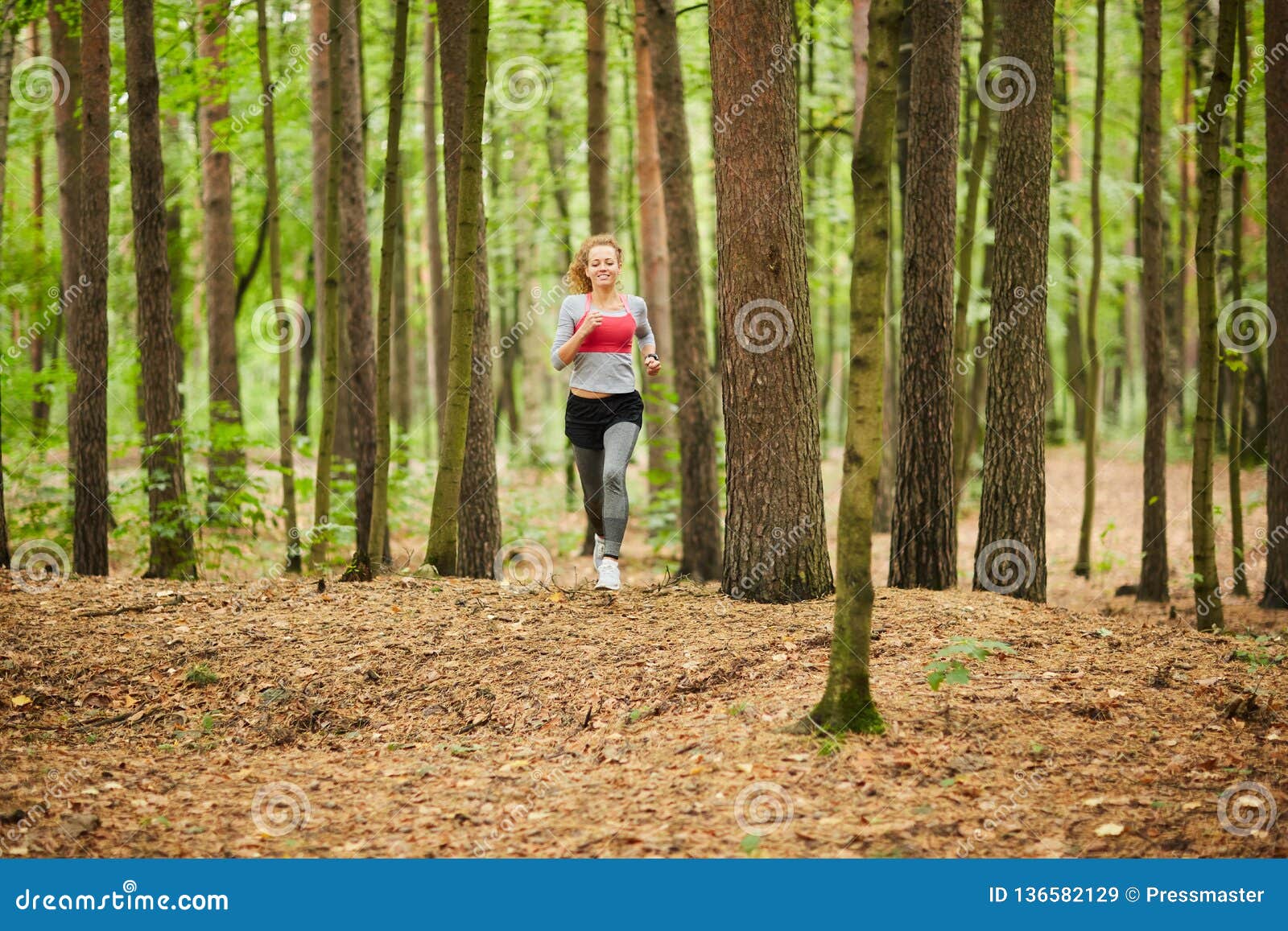 Training in the forest stock image. Image of leisure - 136582129