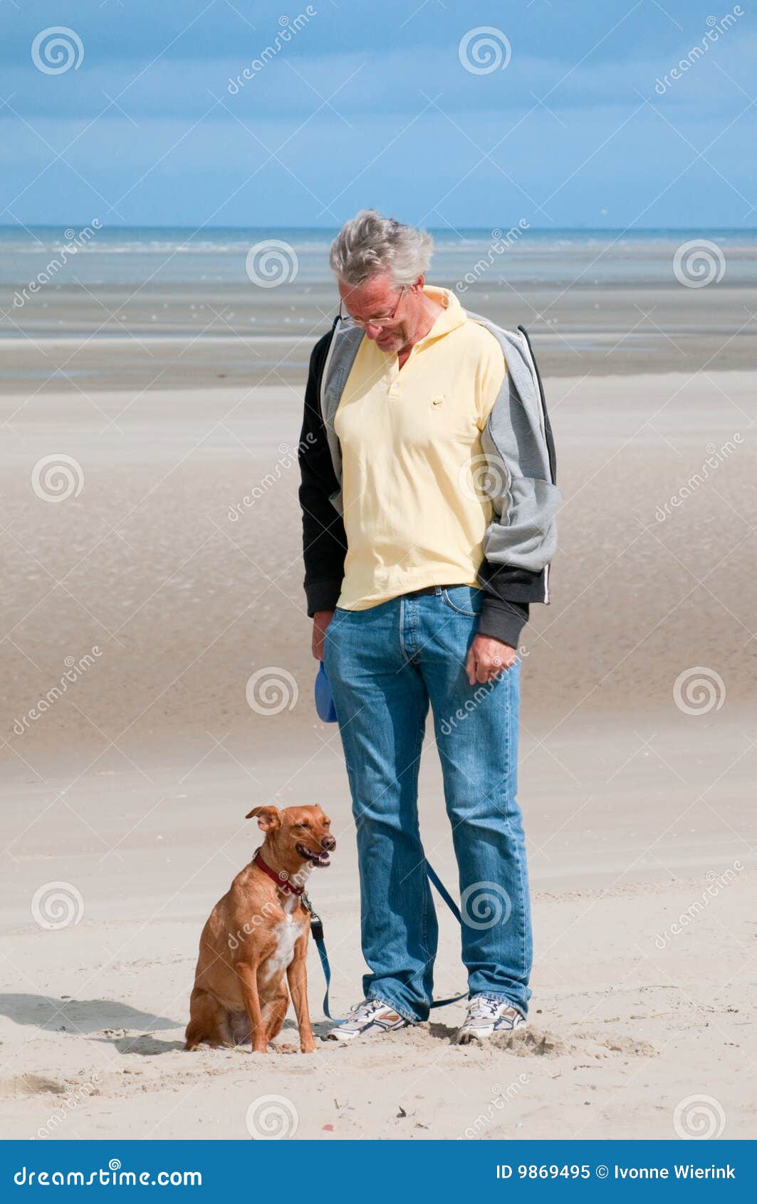 Training his dog stock image. Image of walking, sand, brown - 9869495