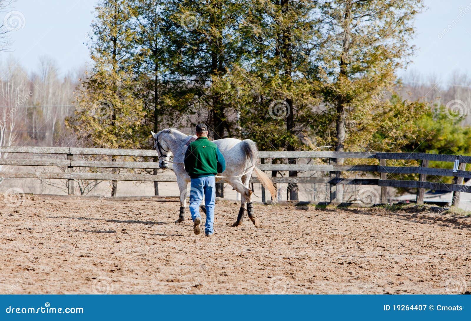 Training a Horse To Long Line Stock Image - Image of jeans, sport: 19264407