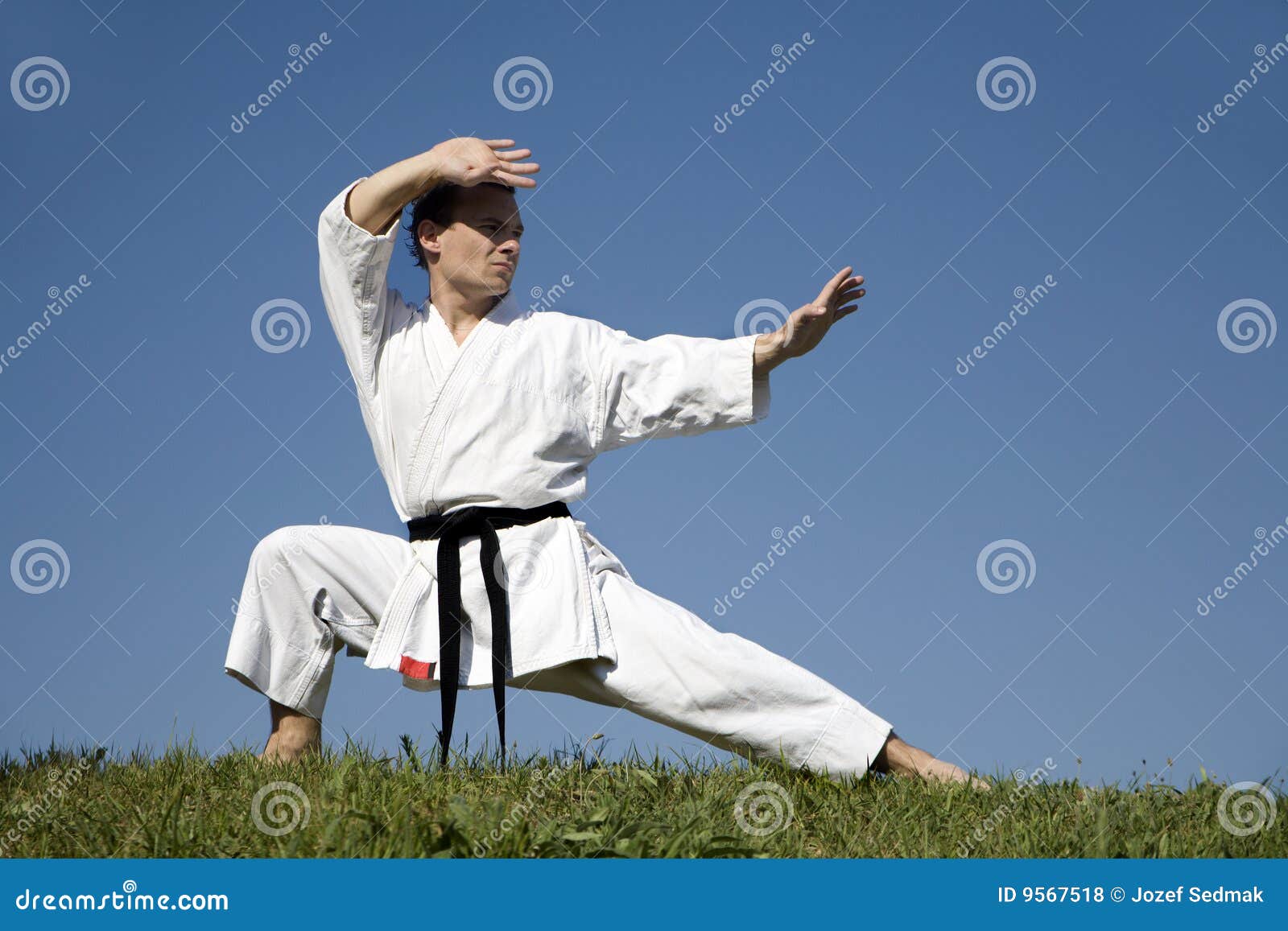 Training of Karate Champion - Kata Stock Photo - Image of posture ...
