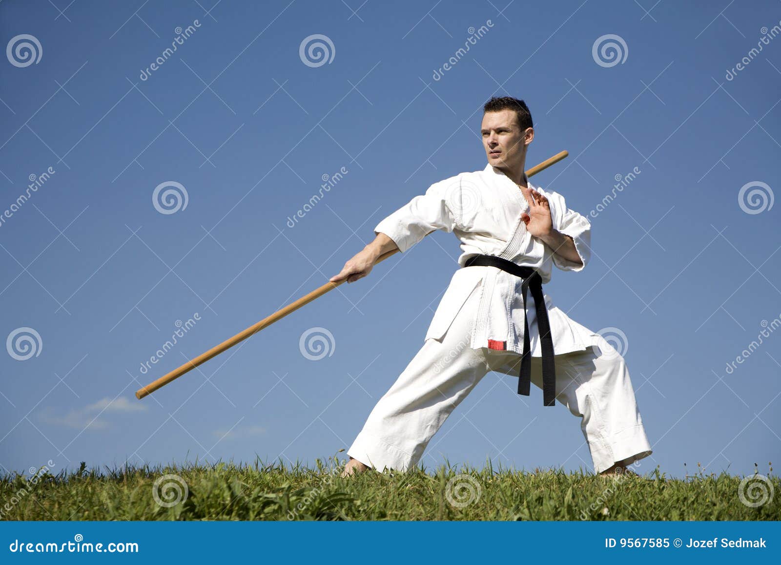 Training of Karate Champion - Kata Stock Image - Image of sport ...