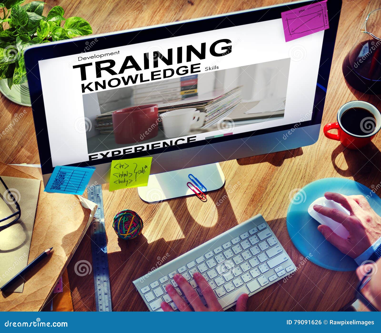Training Knowledge Skills Experince Cup Words Concept Stock Photo ...