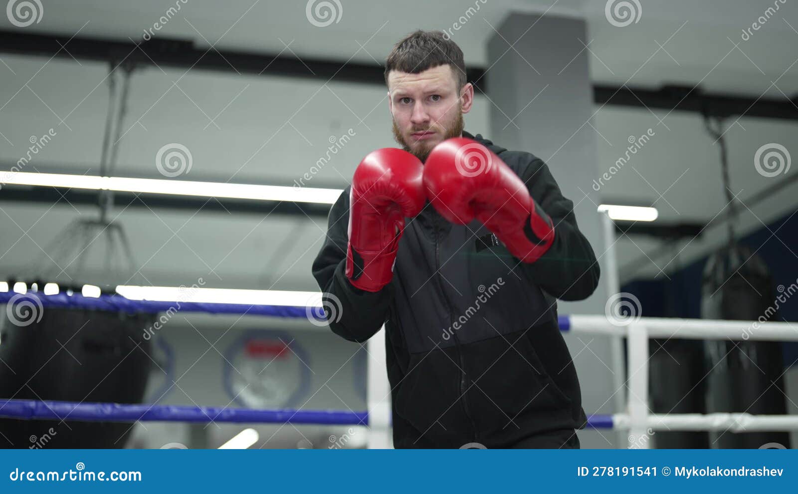 Training of a Male Boxer in the Gym Stock Video - Video of healthy ...