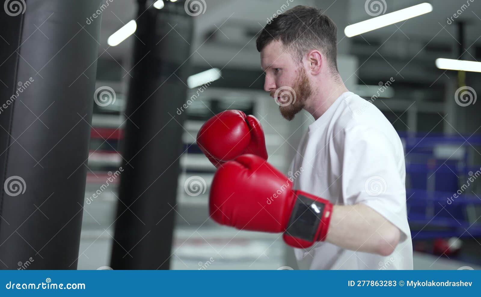 Training of a Male Boxer in the Gym Stock Video - Video of fighter ...