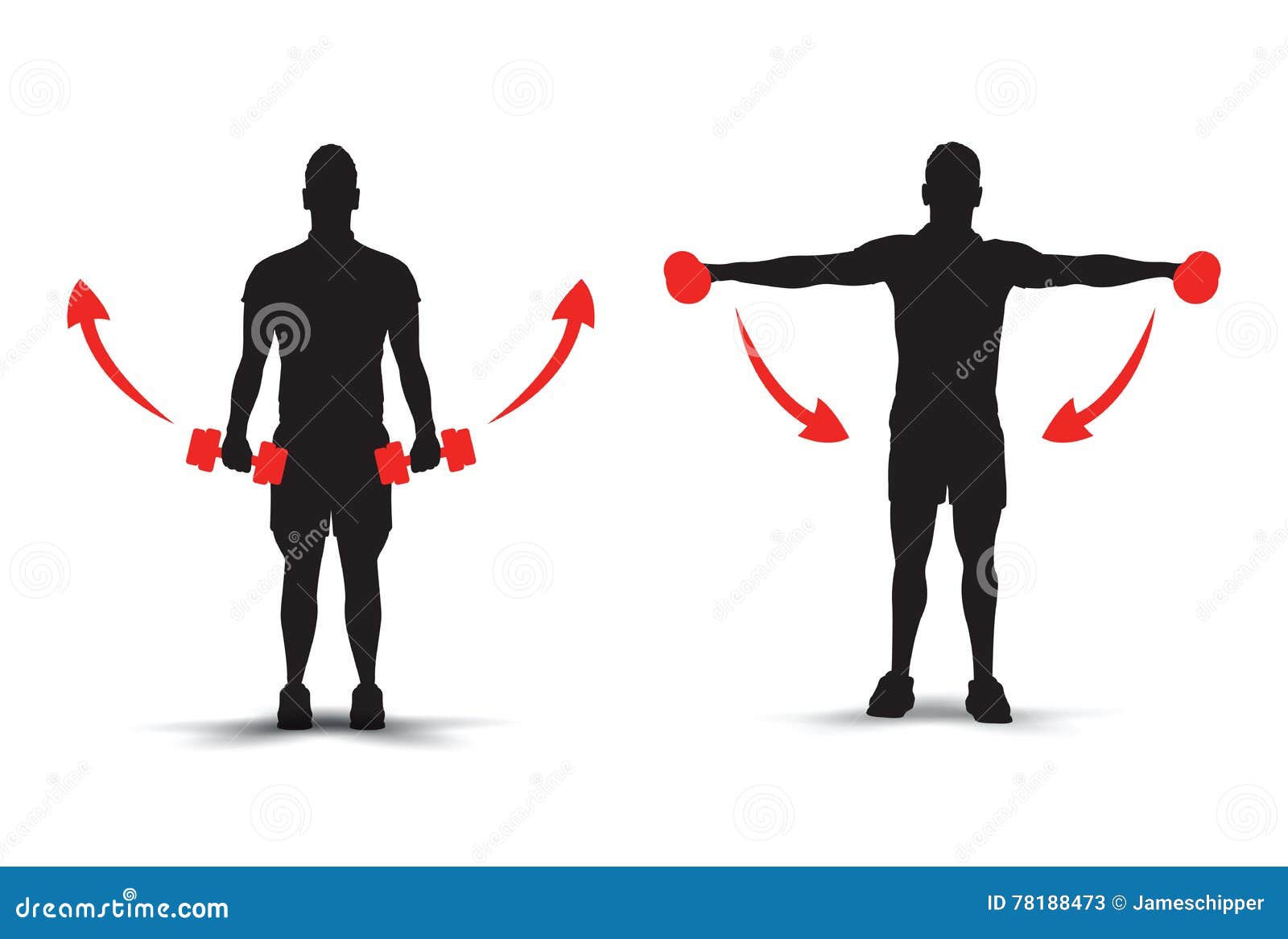 Training man stock vector. Illustration of bodybuilding - 78188473