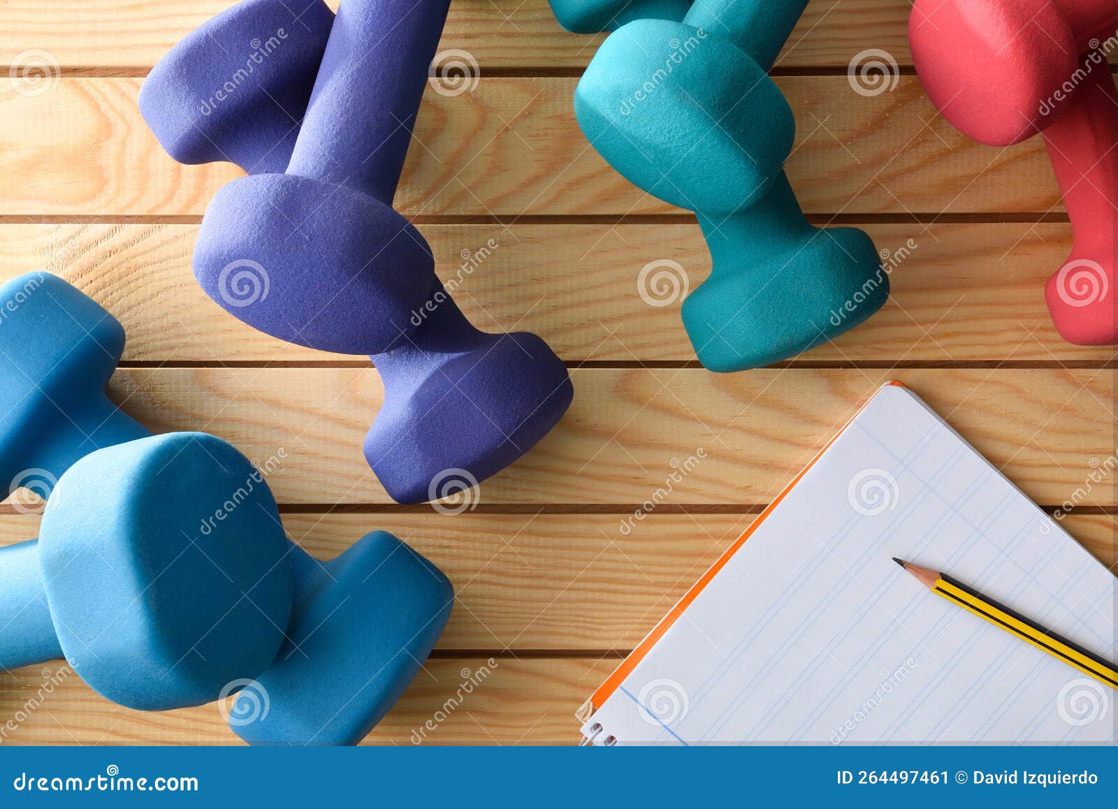 Training Plan for Bodybuilding Exercises with Notepad and Dumbbells Top ...