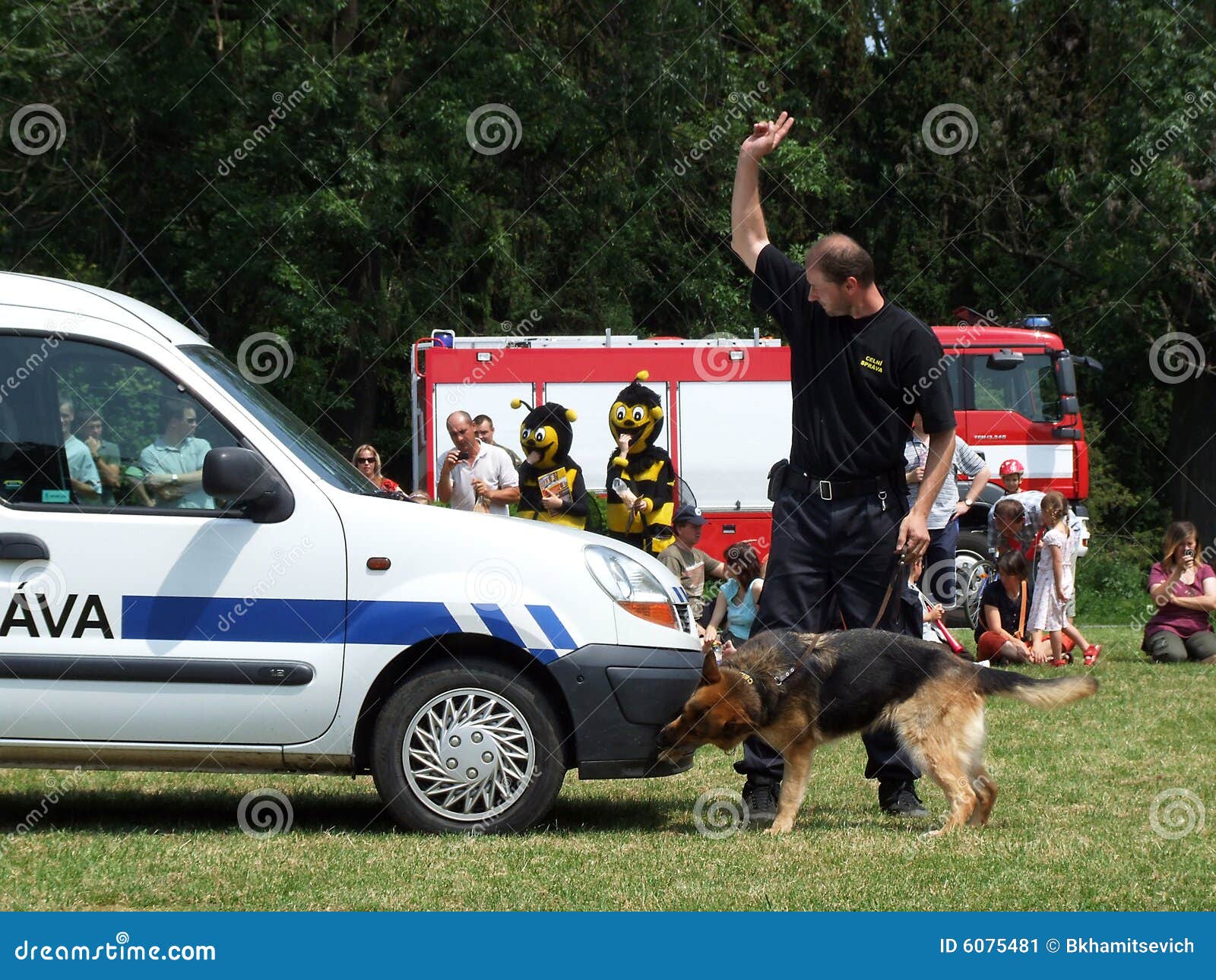 Training a police dog editorial photo. Image of police - 6075481