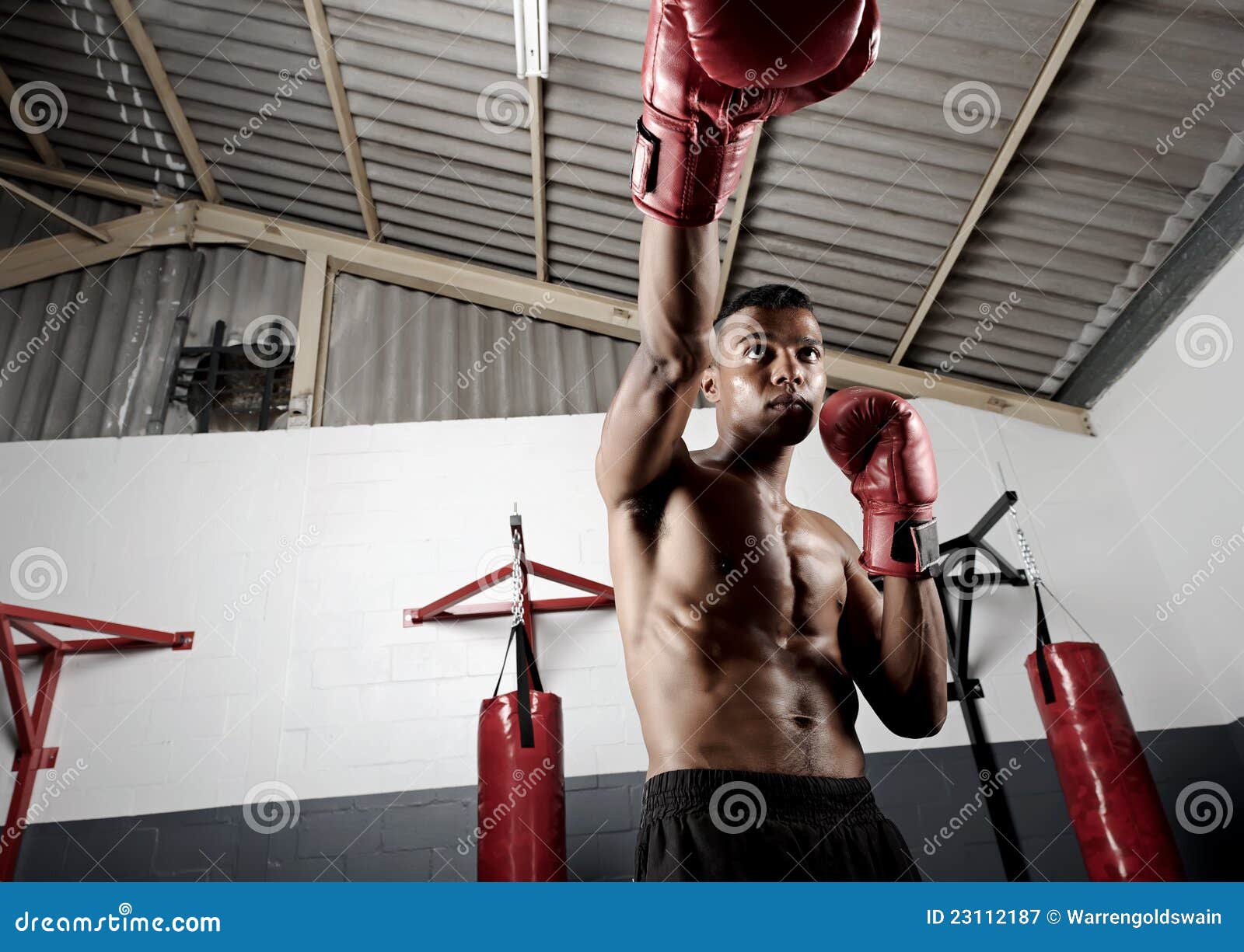 Training punch stock image. Image of athletic, boxer - 23112187