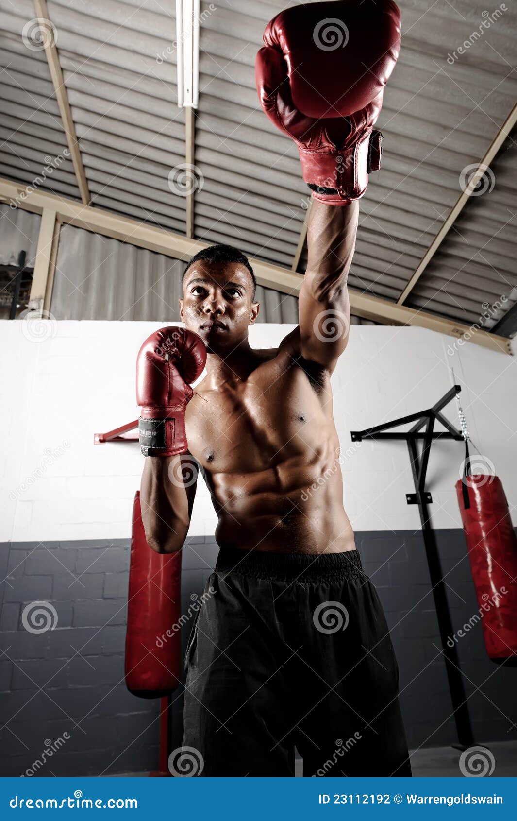 Training punch stock photo. Image of exercise, boxing - 23112192