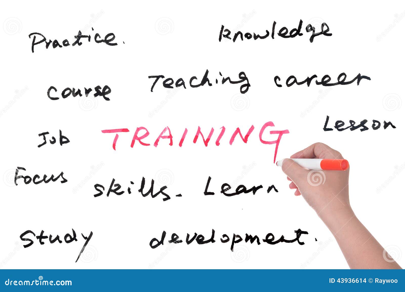 Training Related Words Group Stock Photo - Image of career, word: 43936614