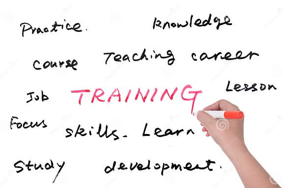 Training Related Words Group Stock Photo - Image of career, word: 43936614
