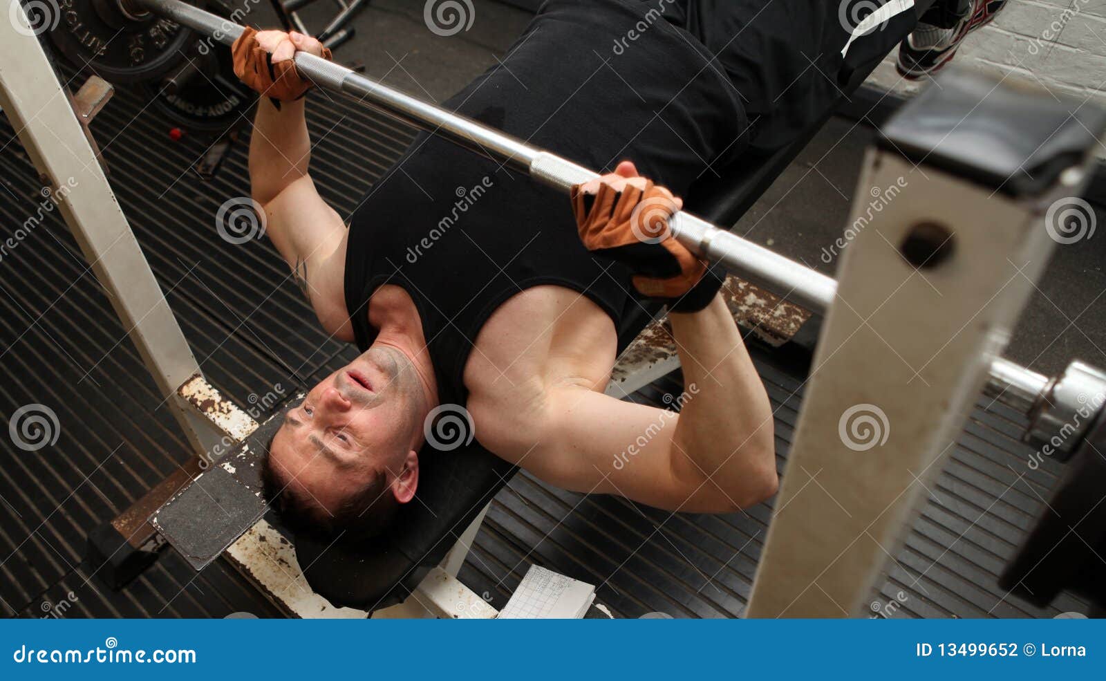 Training Strength Barbell Gym Stock Photo - Image of leisure, fitness ...