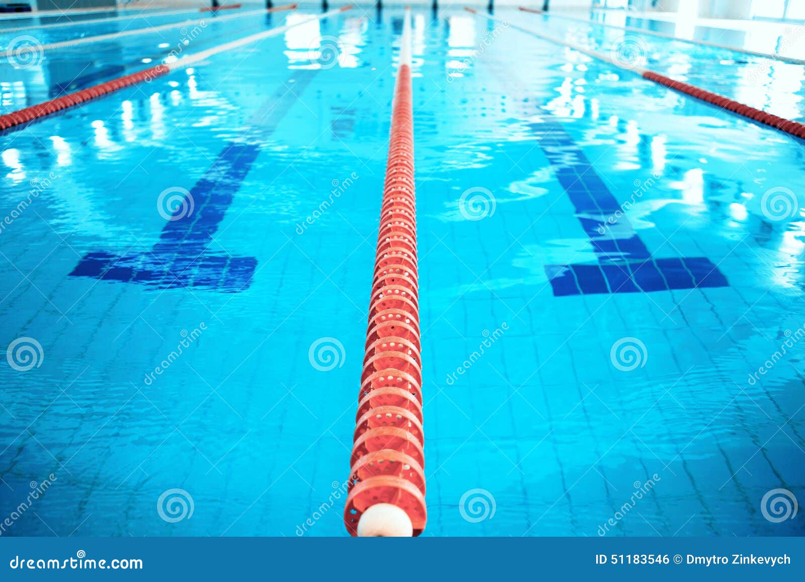 Training in the Swimming Pool Stock Photo - Image of train, indoor ...