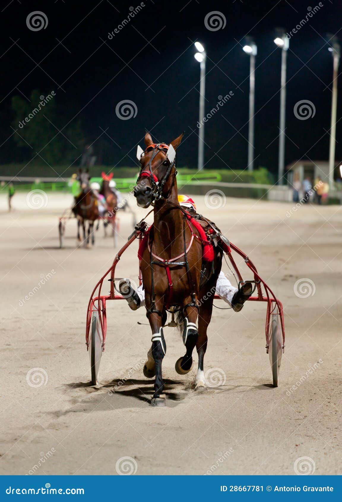 Training Trotters Race in Hippodrome Stock Image - Image of club, race ...