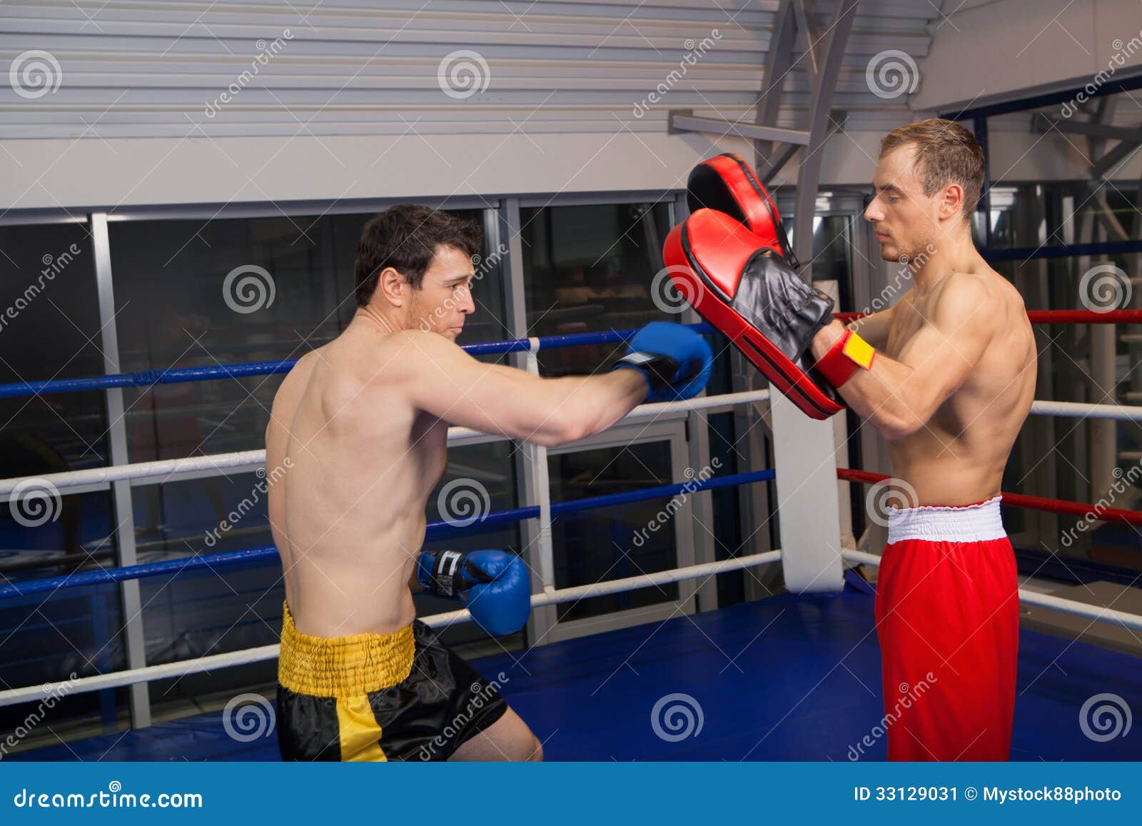 Training. stock image. Image of martial, motion, muscular - 33129031