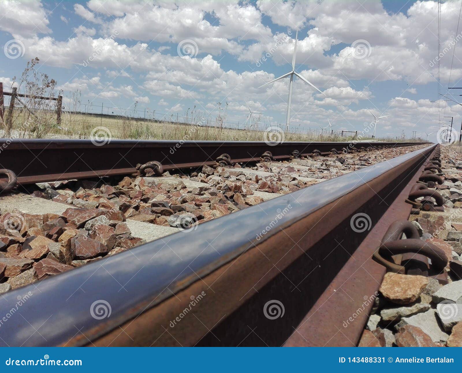 Traintracks stock image. Image of train, nature, traintracks - 143488331