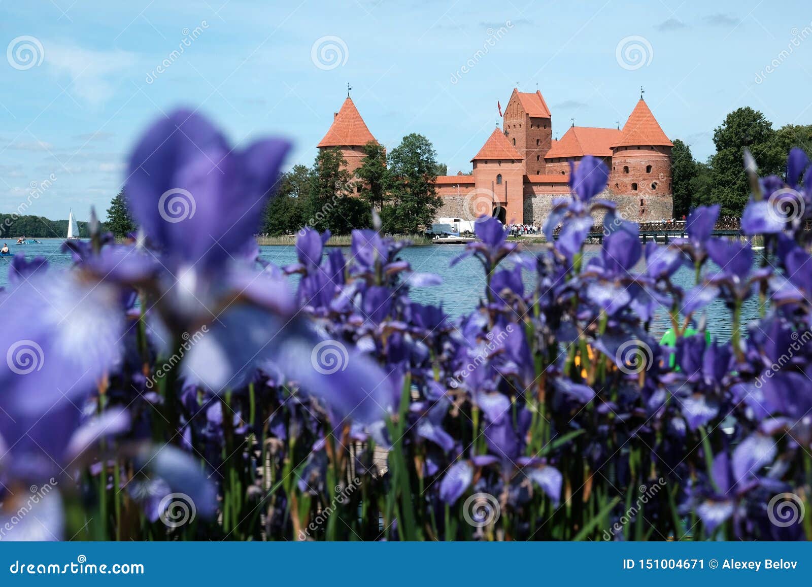 Trakai Castle in Lithuania at Summer Stock Image - Image of defensive ...